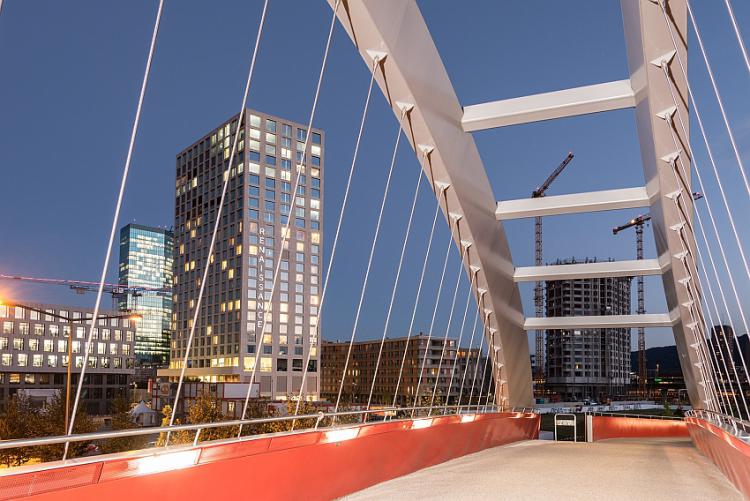 Schweizer Immobilienprojekte